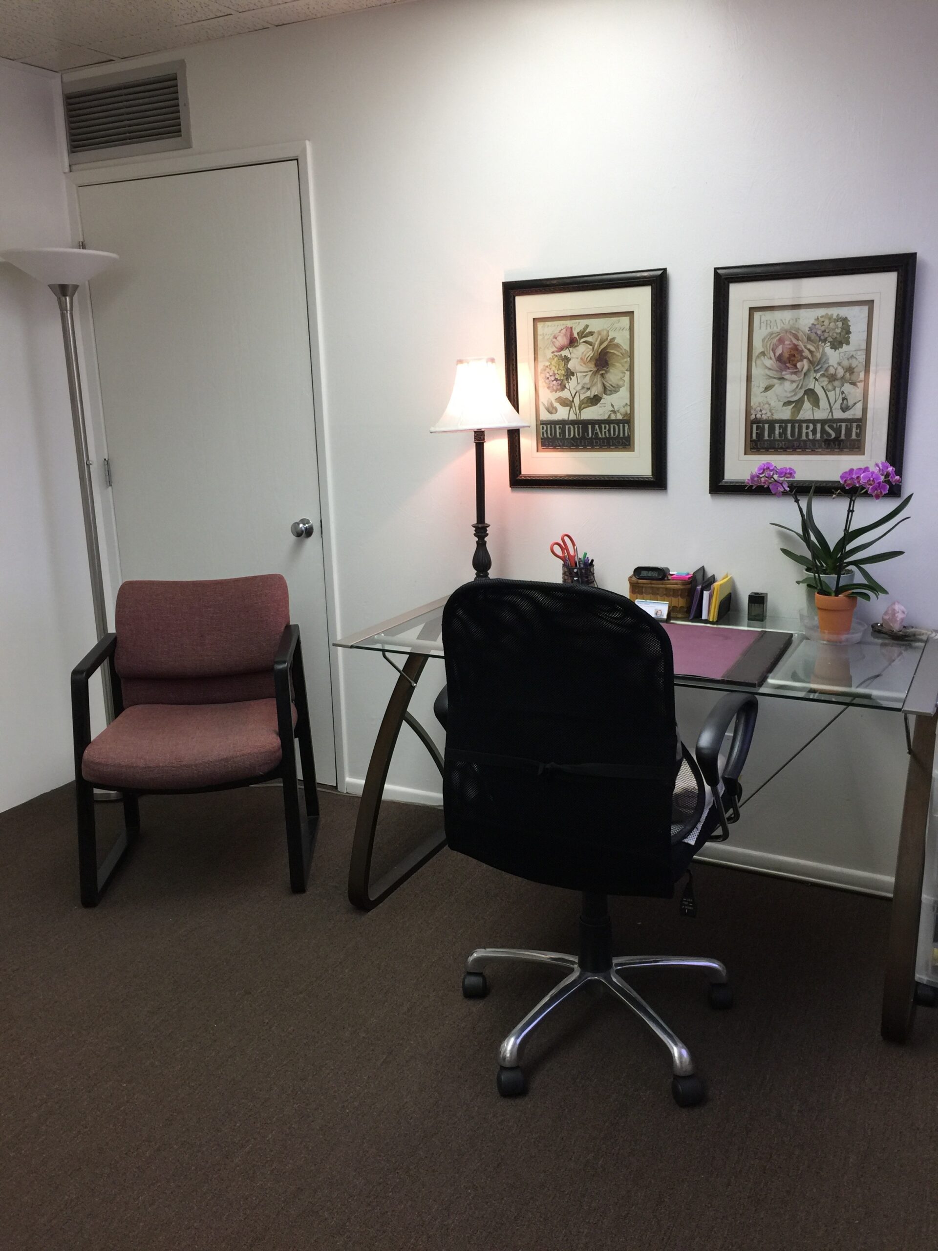What to Expect in Your Hypnosis Sessions | Willow Sibert, Tucson Hypnotist